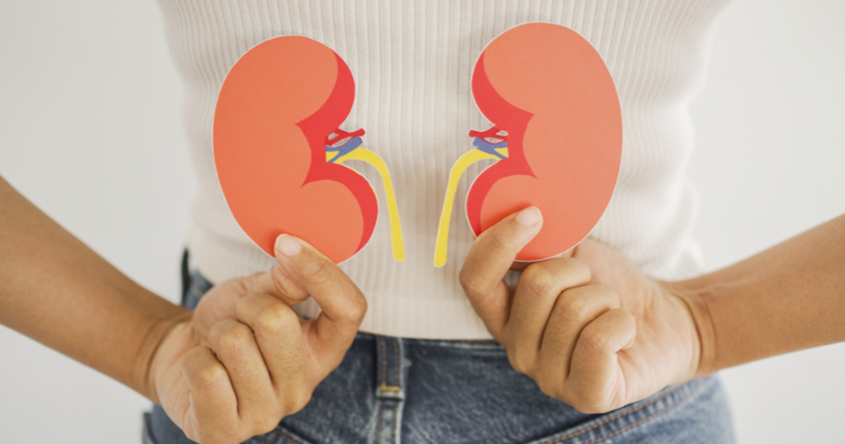 Kidney Health 101: Understanding and Protecting Your Kidneys